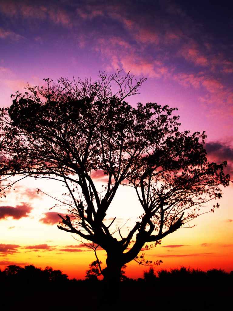 Intentional Hope – Life Inspiration, Motivation & Encouragement for ...